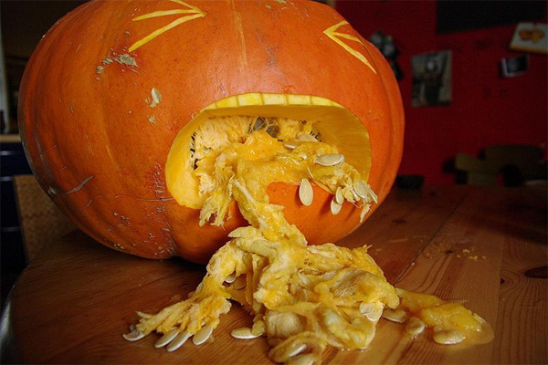 Kürbis – KiwiThek