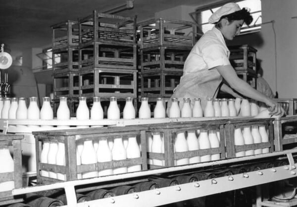 Molkerei/einfach – KiwiThek