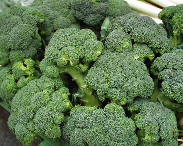 Vitamine – KiwiThek