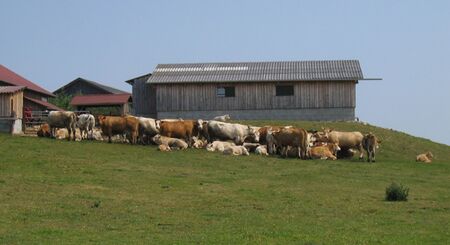 Landwirtschaft – KiwiThek