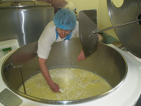 Molkereiberufe/einfach – KiwiThek