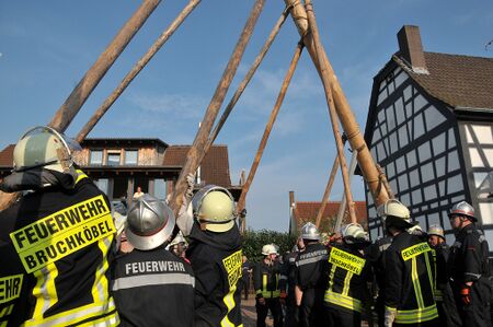 Maibaum/einfach – KiwiThek